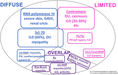 Autoantibodies and Their Role in Scleroderma Clinical Care | SpringerLink