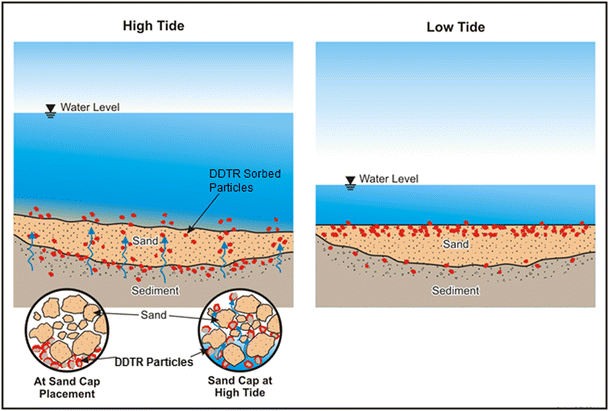 Remediation of DDT and Its Metabolites in Contaminated Sediment ...