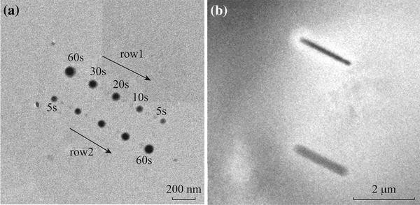 Effects Associated with Nanostructure Fabrication Using In Situ Liquid ...