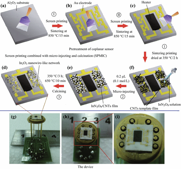 A Review on Graphene-Based Gas/Vapor Sensors with Unique Properties and ...