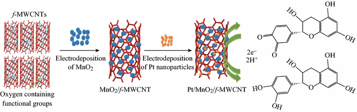 An Overview of Carbon Nanotubes and Graphene for Biosensing ...