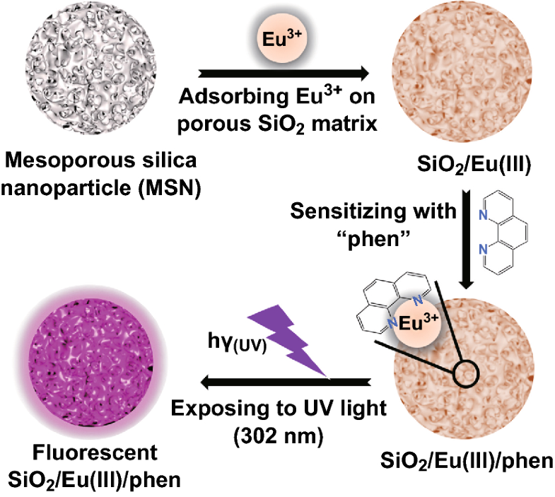 Mesoporous SiO2 Nanoparticles: A Unique Platform Enabling Sensitive ...