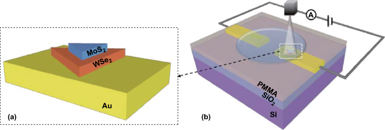 Enhanced Performance of a Monolayer MoS2/WSe2 Heterojunction as a ...