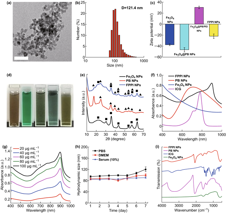 Indocyanine Green-Conjugated Magnetic Prussian Blue Nanoparticles for ...