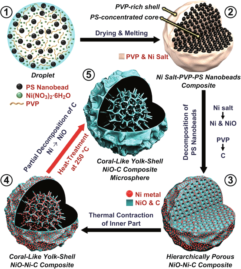 Coral-Like Yolk–Shell-Structured Nickel Oxide/Carbon Composite ...