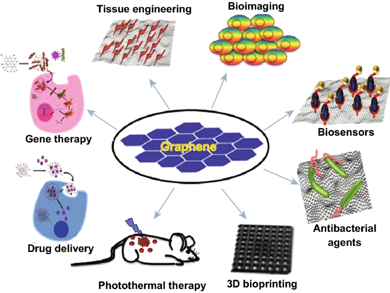 Comprehensive Application of Graphene: Emphasis on Biomedical Concerns ...