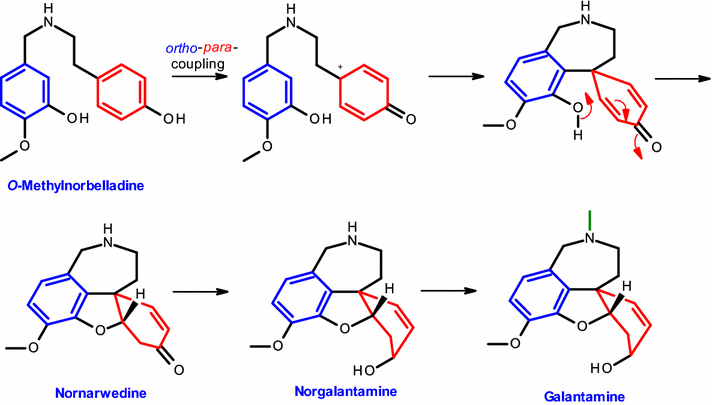 Galantamine | SpringerLink
