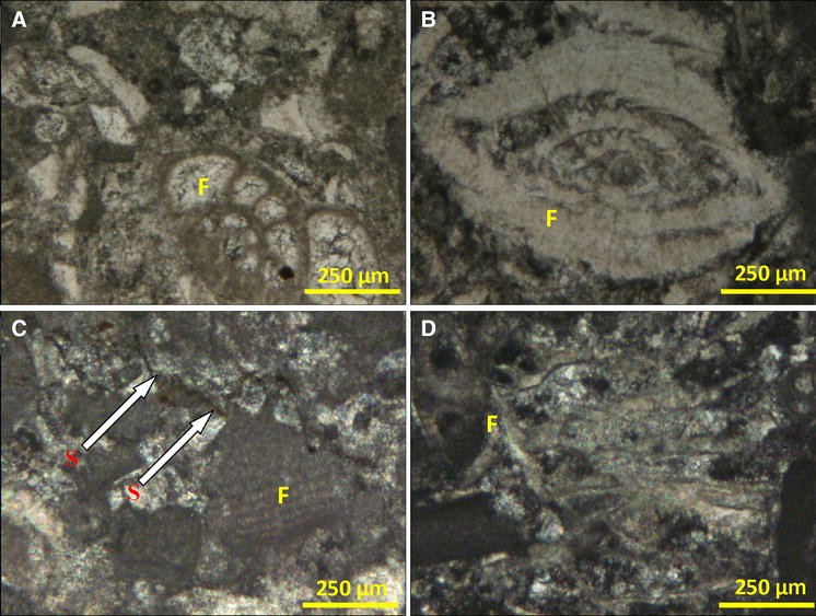 The impact of stylolites and fractures in defining critical ...