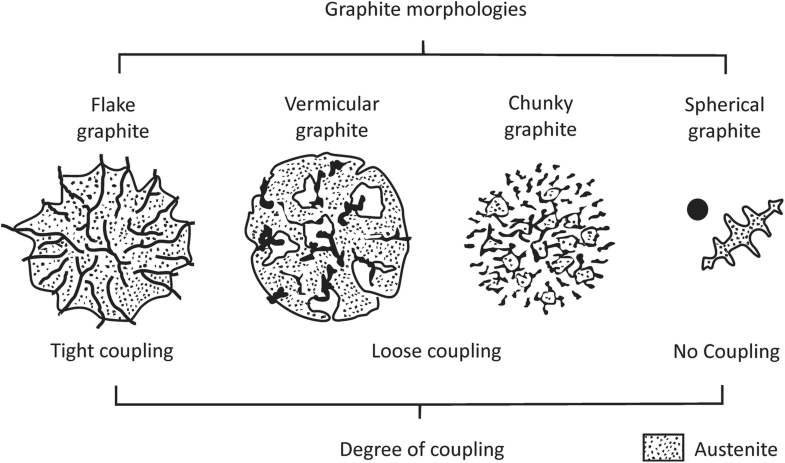 Chunky Graphite in Ferritic Spheroidal Graphite Cast Iron: Formation ...