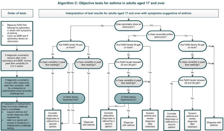 Asthma Diagnosis: The Changing Face of Guidelines | SpringerLink