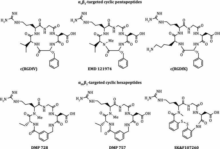 Radiolabeled cyclic RGD peptides as radiotracers for tumor imaging ...