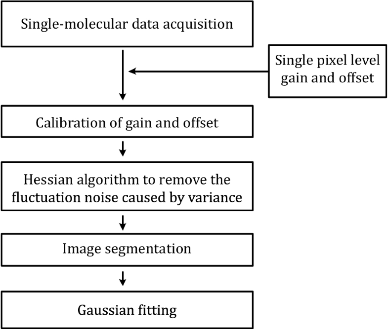 Hessian single-molecule localization microscopy using sCMOS camera | SpringerLink