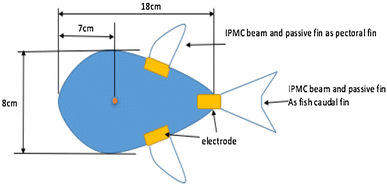2D maneuverable robotic fish propelled by multiple ionic polymer–metal ...