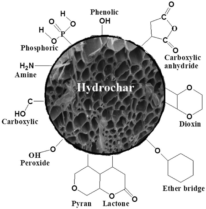A Comprehensive Review on Hydrothermal Carbonization of Biomass and its ...