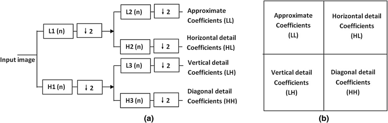 A lossless image compression algorithm using wavelets and fractional ...