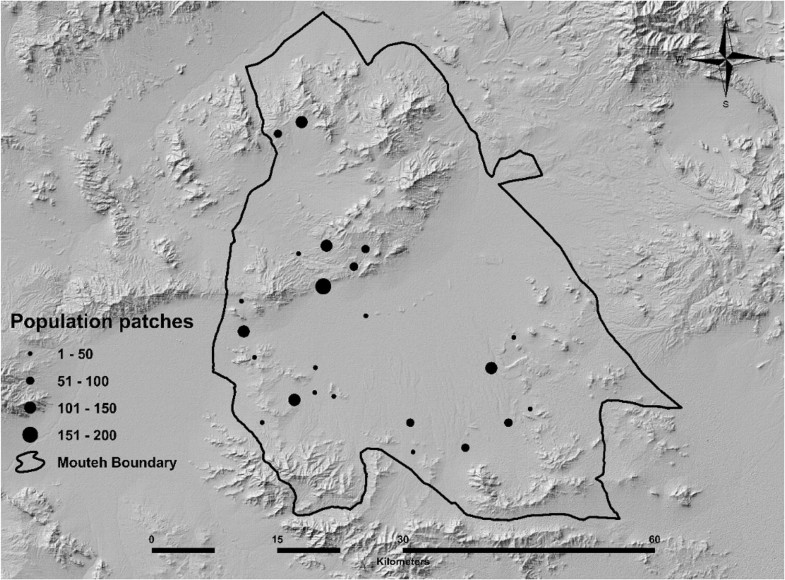 Identifying noise disturbance by roads on wildlife: a case study in ...