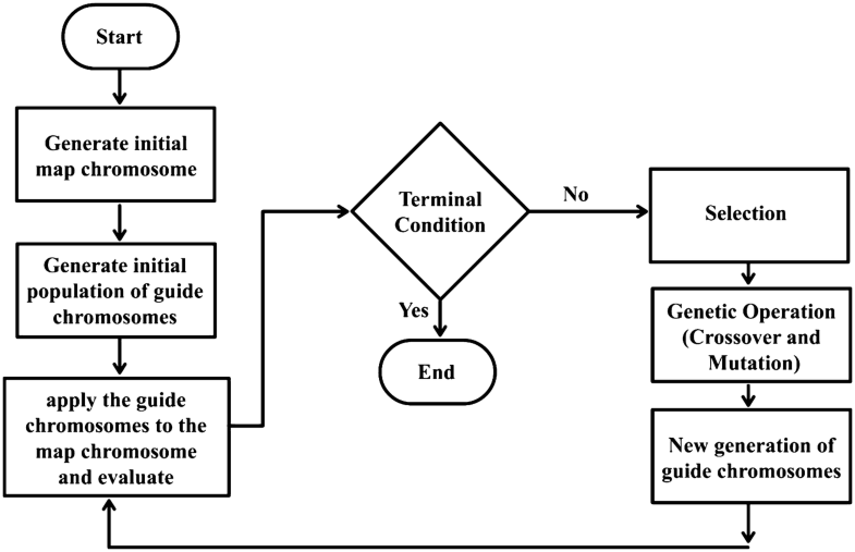 Genetic algorithm and a double-chromosome implementation to the ...
