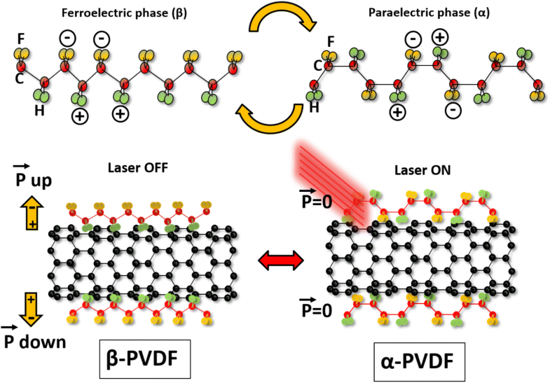 Light-induced reversible phase transition in polyvinylidene fluoride ...