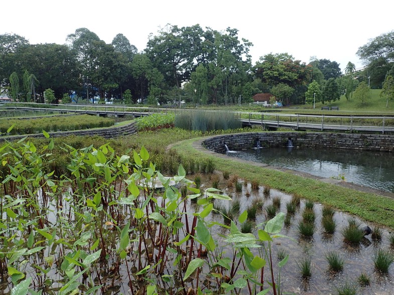 The socio-ecological practice of building blue-green infrastructure in ...
