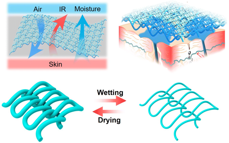 Designing Textile Architectures for High Energy-Efficiency Human Body ...