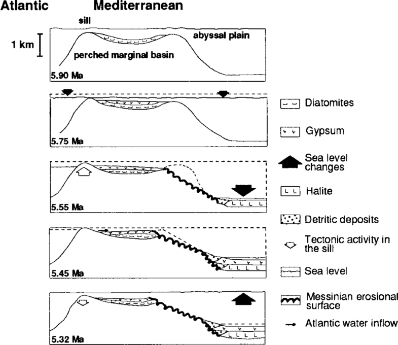 The Messinian salinity legacy: 50 years later | SpringerLink