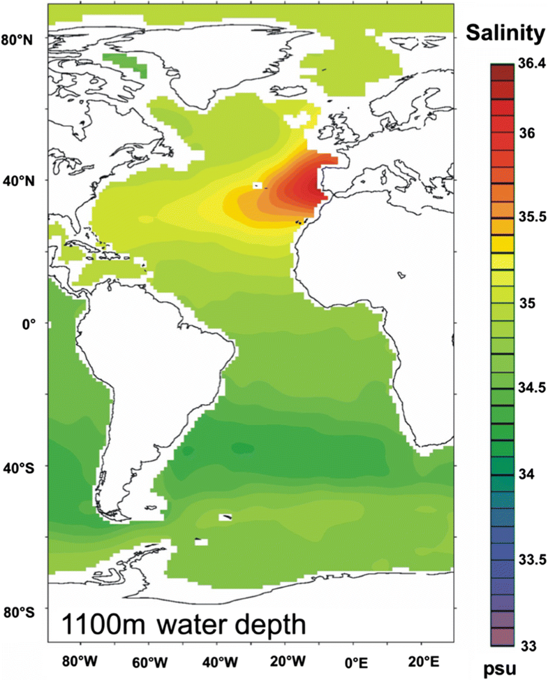 The Messinian salinity legacy: 50 years later | SpringerLink
