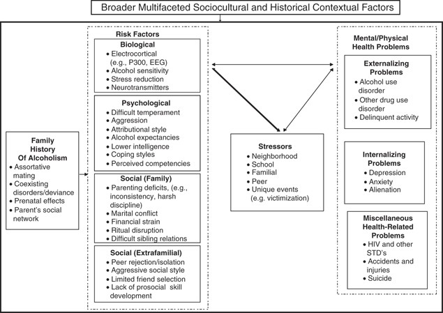 A multilevel developmental contextual approach to substance use and ...