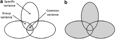 Conceptualizing models using multidimensional constructs: a review and guidelines for their use ...