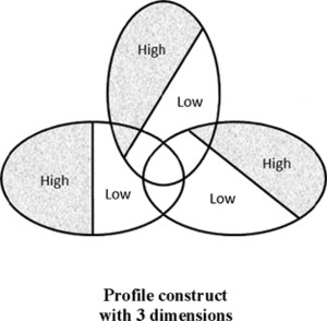 Conceptualizing models using multidimensional constructs: a review and ...