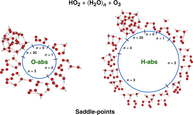 The HO2 + (H2O)n + O3 reaction: an overview and recent developments ...