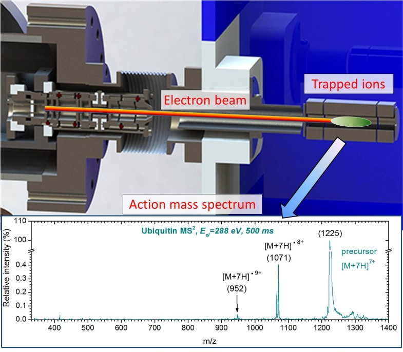 Design and performance of an instrument for electron impact tandem mass ...