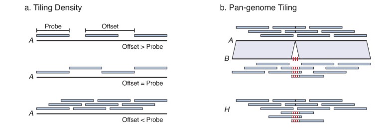 Efficient oligonucleotide probe selection for pan-genomic tiling arrays | BMC Bioinformatics ...