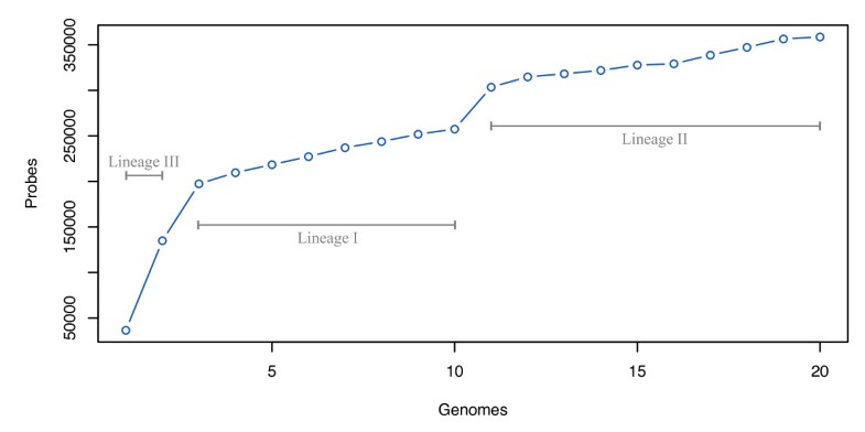 Efficient oligonucleotide probe selection for pan-genomic tiling arrays | BMC Bioinformatics ...