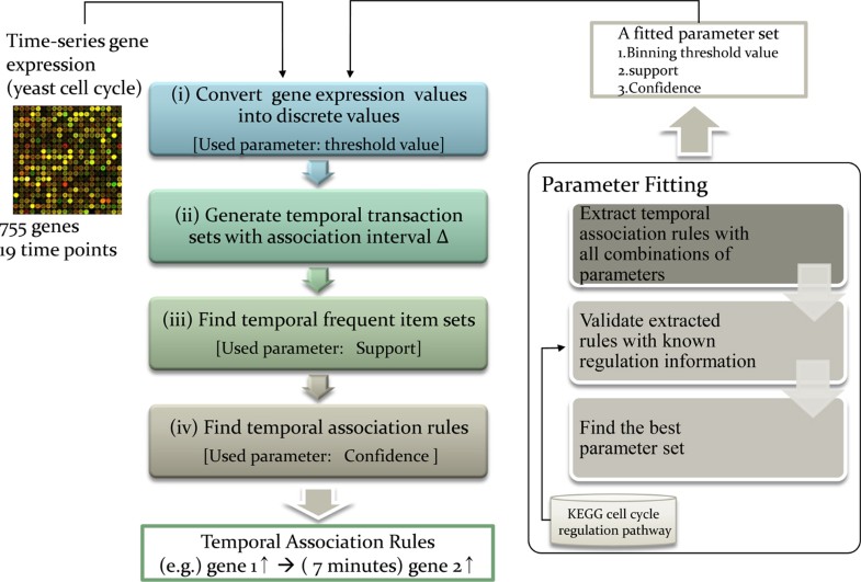 Identification Of Temporal Association Rules From Time Series Microarray Data Sets Bmc