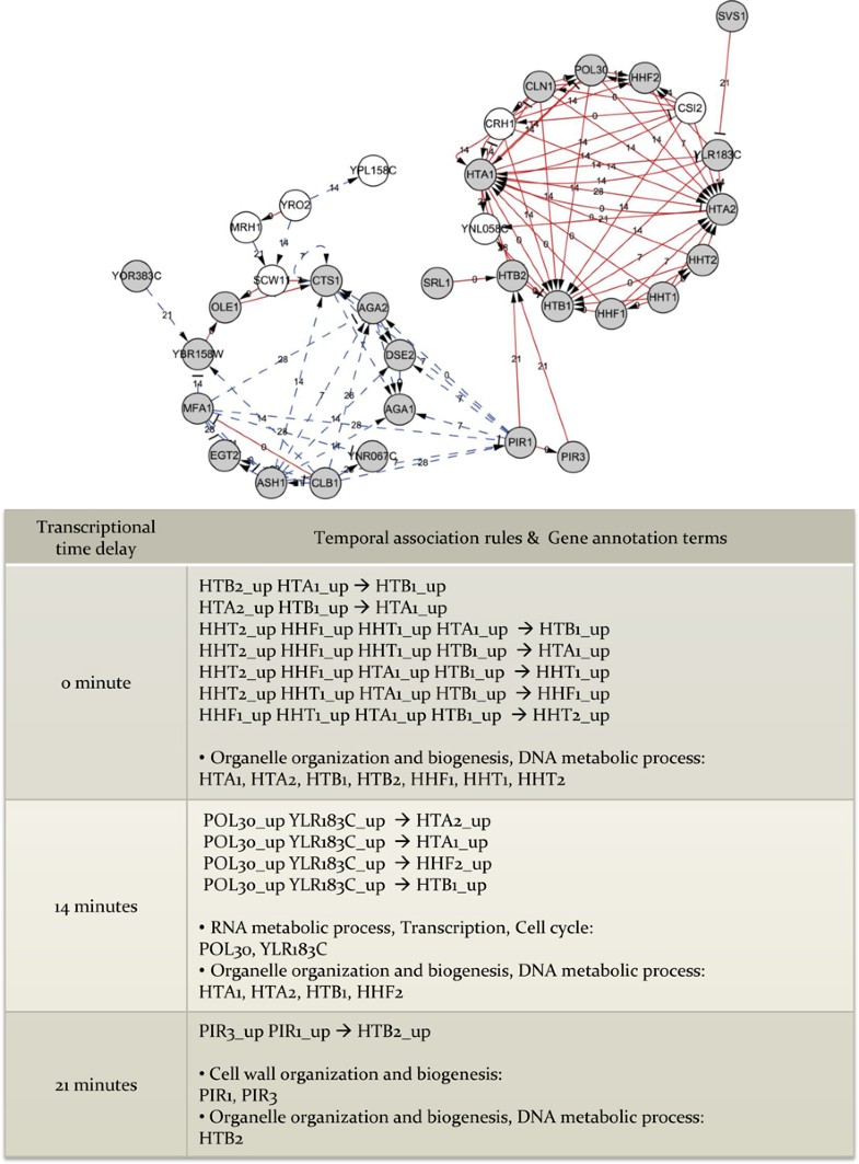 Identification Of Temporal Association Rules From Time Series Microarray Data Sets Bmc