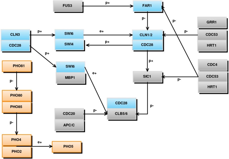 Comparison of evolutionary algorithms in gene regulatory network model inference | BMC ...