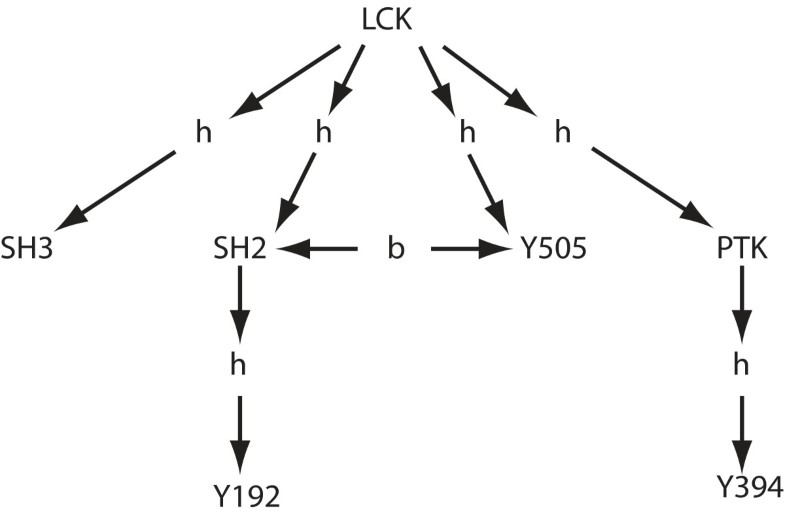Hierarchical graphs for rule-based modeling of biochemical systems | BMC Bioinformatics | Full Text