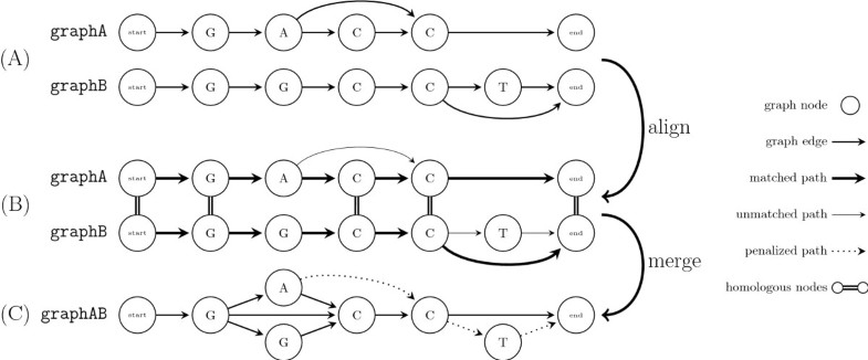 Fast and robust multiple sequence alignment with phylogeny-aware gap placement | BMC ...