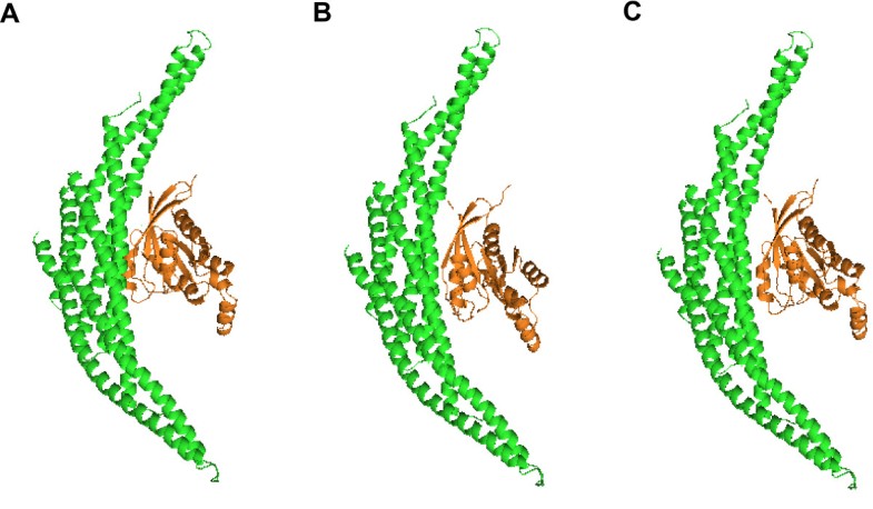 Protein-protein binding site identification by enumerating the ...