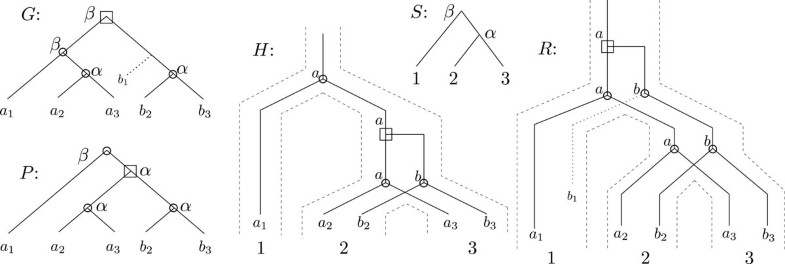 Gene trees and species trees: irreconcilable differences | BMC ...