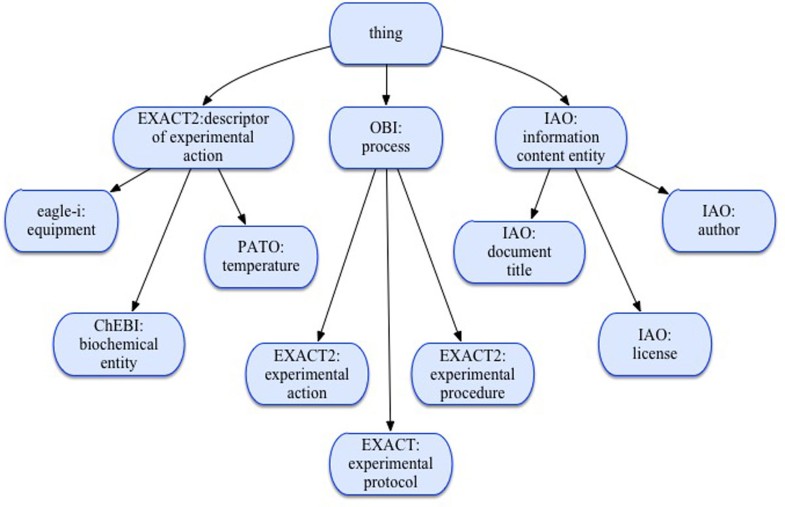 EXACT2: the semantics of biomedical protocols | BMC Bioinformatics ...