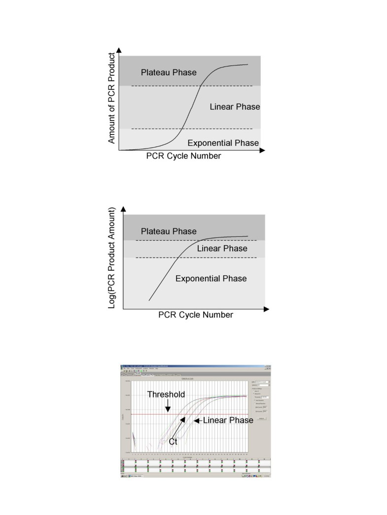 Statistical analysis of real-time PCR data | BMC Bioinformatics | Full Text