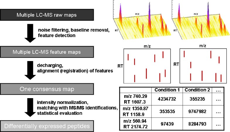 LC-MSsim – a simulation software for liquid chromatography mass spectrometry data | BMC ...