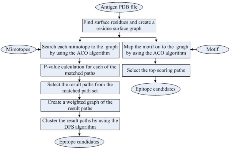 Pep-3D-Search: a method for B-cell epitope prediction based on mimotope ...