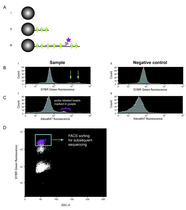 Gene-specific FACS sorting method for target selection in high ...