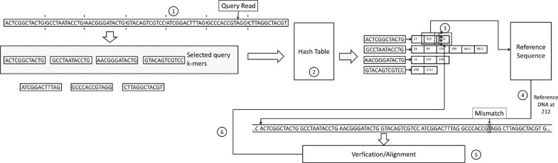 Accelerating read mapping with FastHASH | BMC Genomics | Full Text