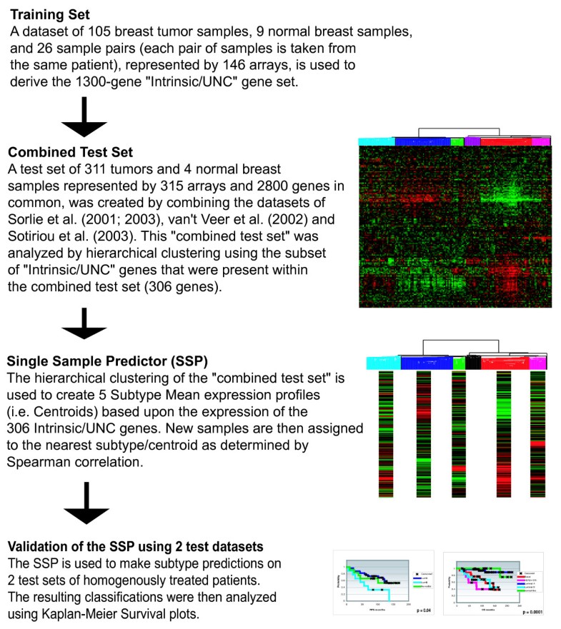 The molecular portraits of breast tumors are conserved across ...