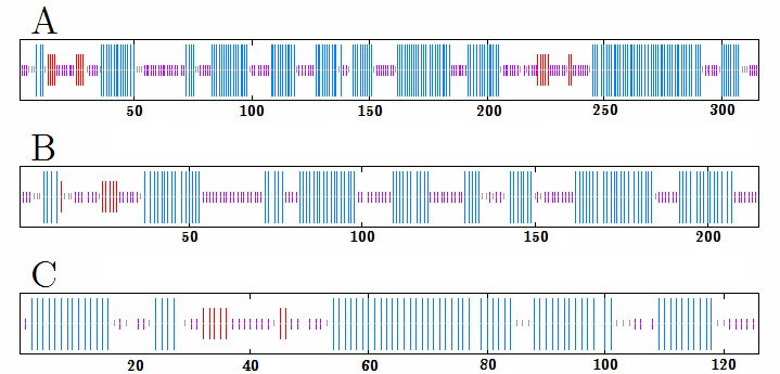 DNA watermarks: A proof of concept | BMC Molecular Biology | Full Text