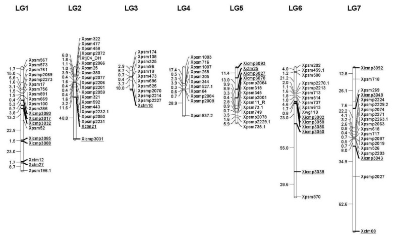 Development and mapping of Simple Sequence Repeat markers for pearl millet from data mining of ...