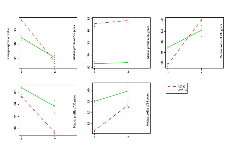 Transcriptomic analysis of tomato carpel development reveals ...